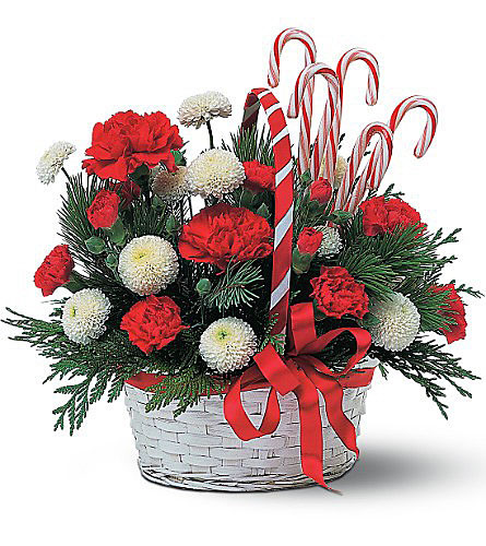 Dundee Florist - Christmas Flowers - Candy Cane Basket TF86-4
